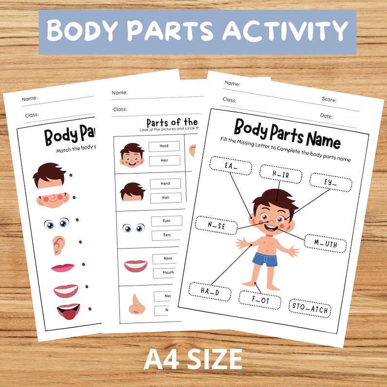 Body Parts Flashcards for Kids Printable Anatomy Activities Educational ...