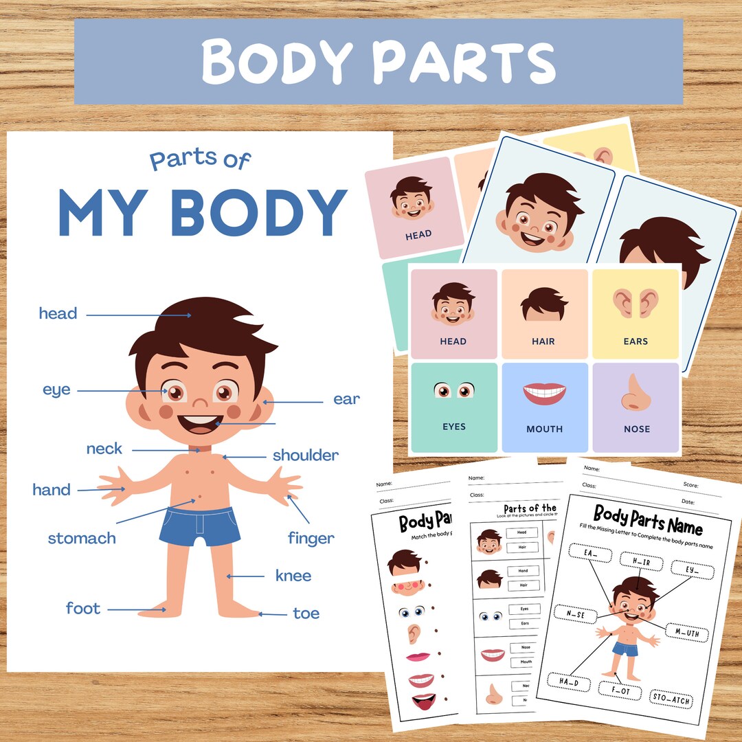 Body Parts Flashcards for Kids Printable Anatomy Activities Educational ...
