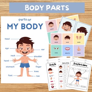 Body Parts Flashcards for Kids Printable Anatomy Activities Educational ...