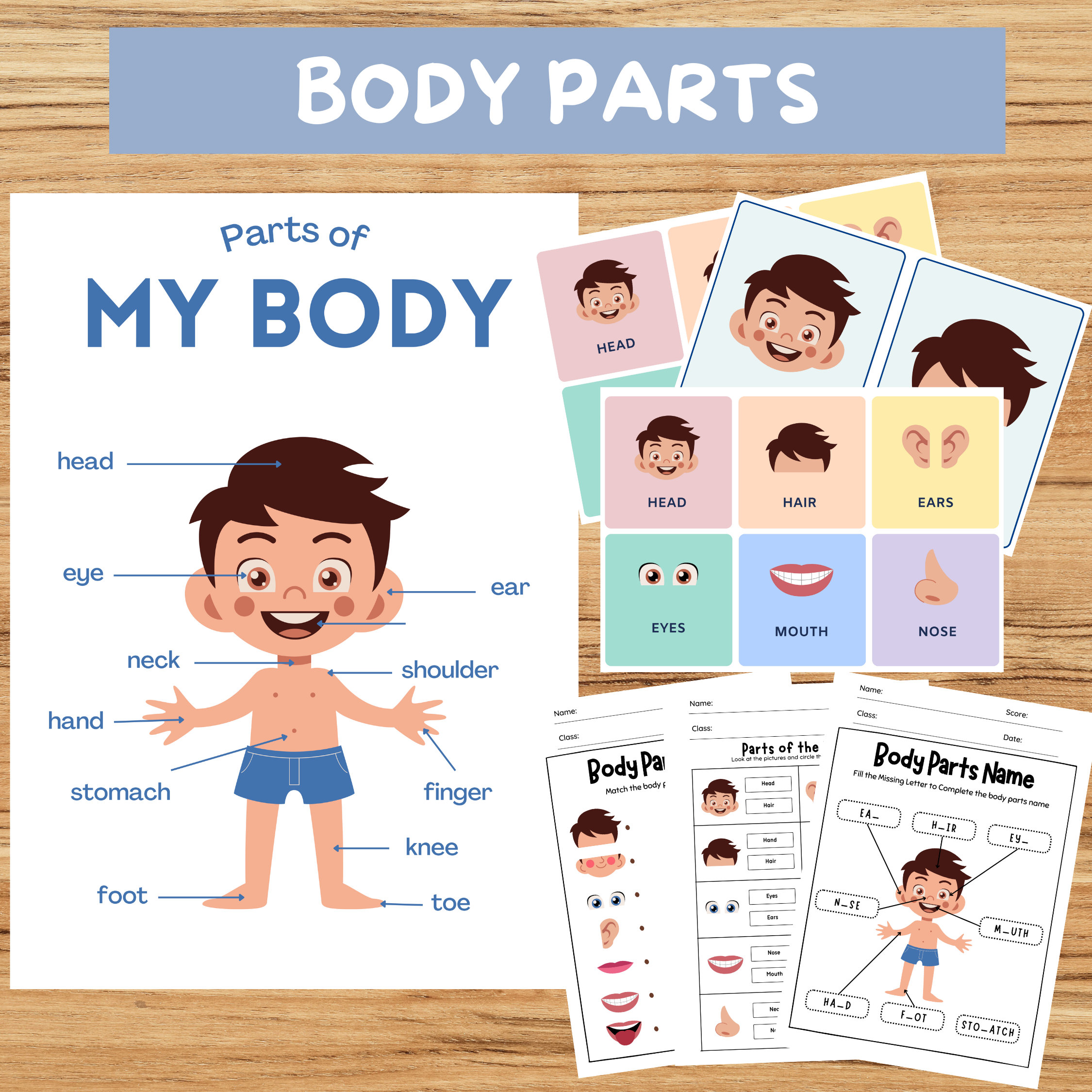 Body Parts Flashcards for Kids Printable Anatomy Activities Educational ...