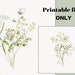 Wildflower Watercolor Wall Art Instant Download Flower Print for ...