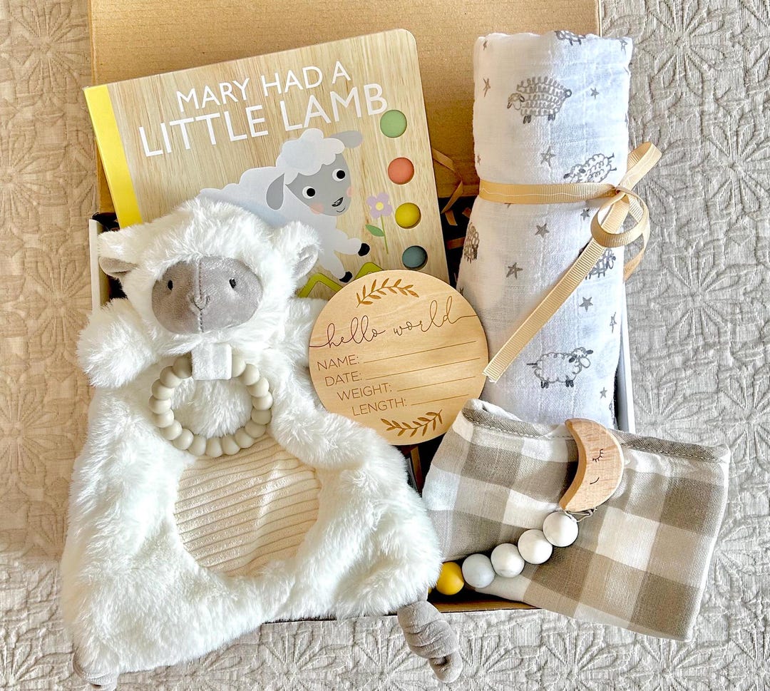 Old Macdonald Farm Animal Theme Gift Box for Babies & Toddlers - for ...