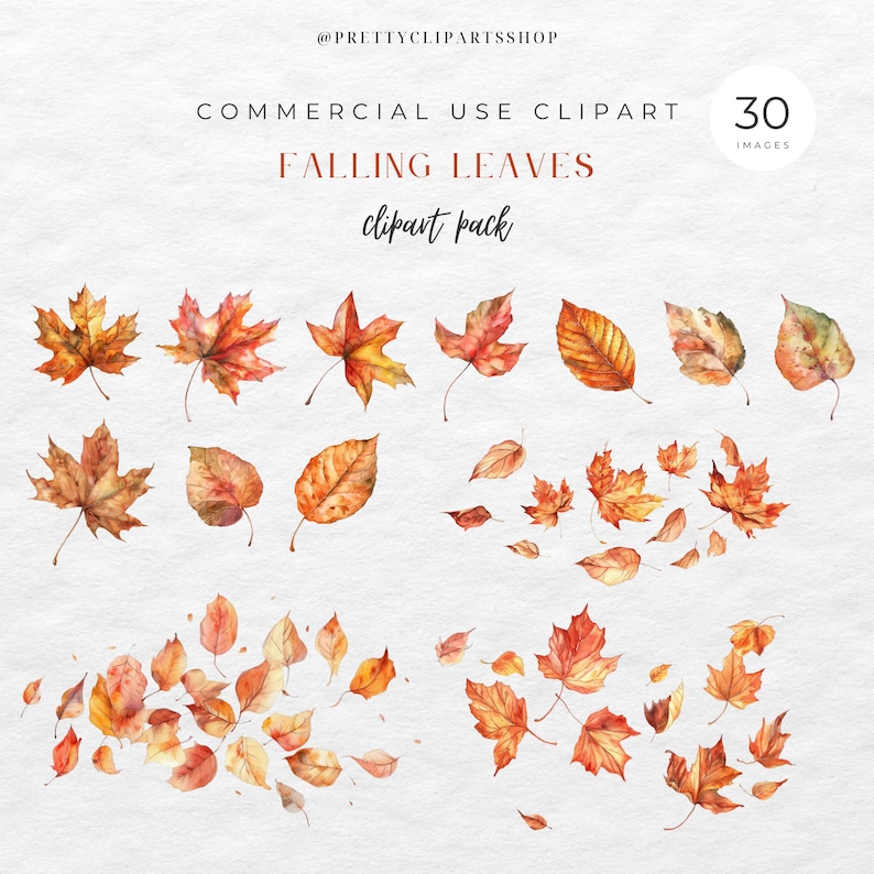 Watercolor Falling Leaves PNG Clipart Bundle, Fall Leave Border Frames ...