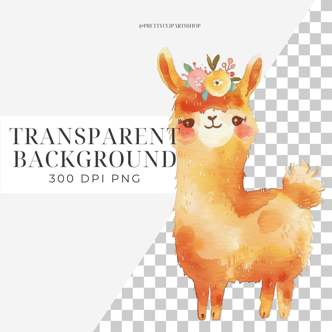 Boho Cute Llama Alpaca PNG Clipart Bundle, Watercolor Clipart, Cute ...