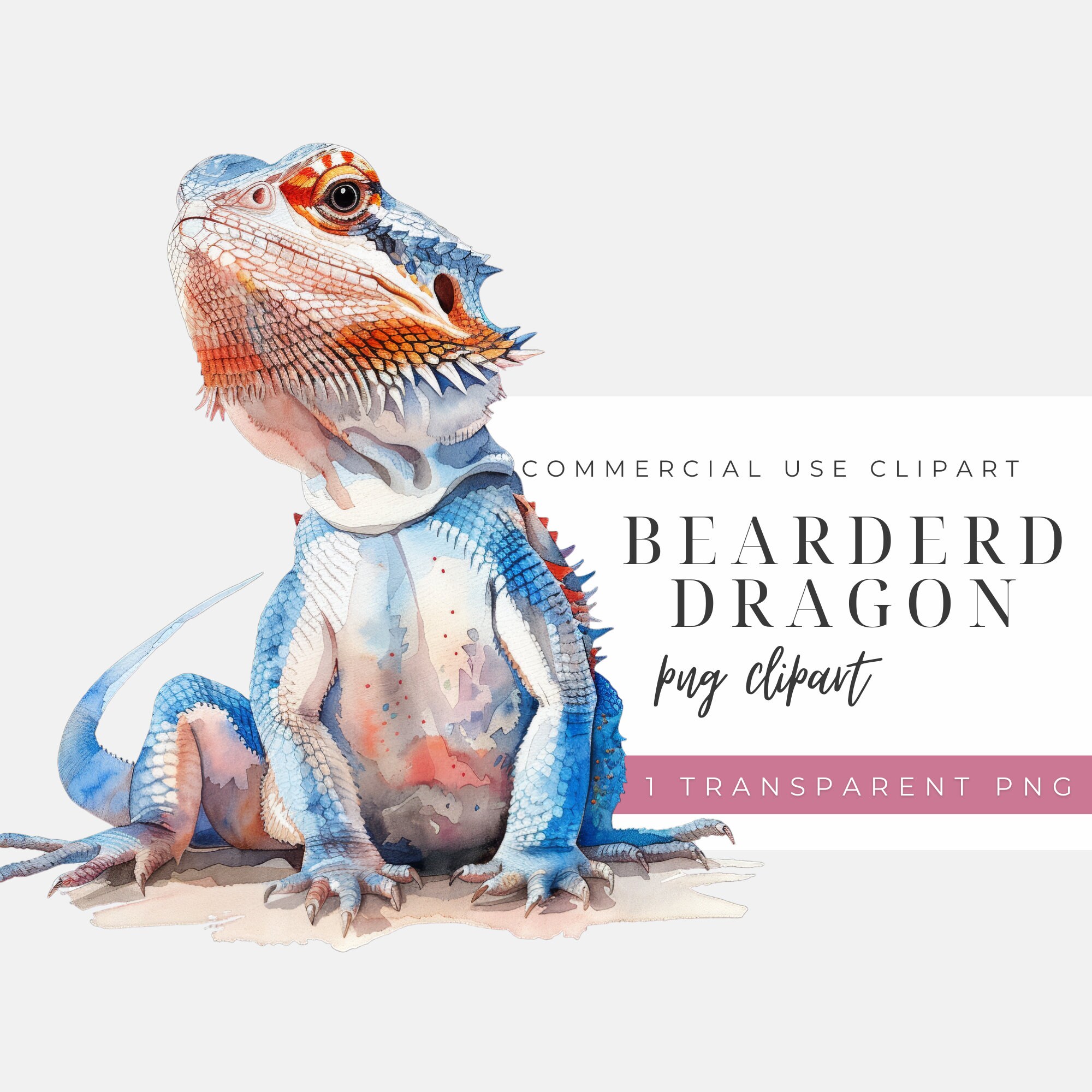Bearded Dragon Watercolor Clipart Commercial Use, Animal PNG ...