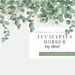 Eucalyptus Greenery Border Watercolor PNG Clipart Commercial Use ...