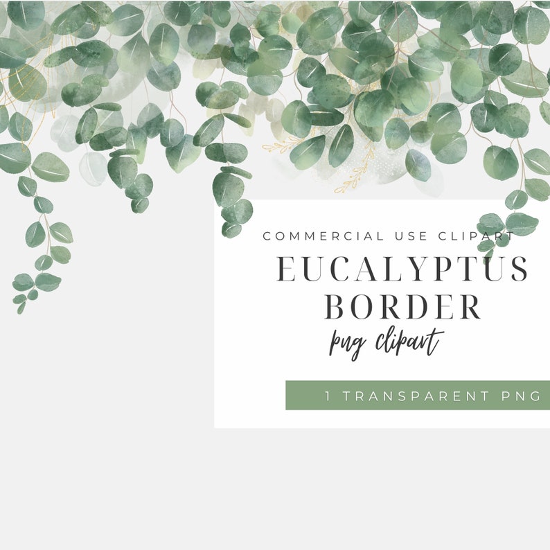 Eucalyptus Greenery Border Watercolor PNG Clipart Commercial Use ...