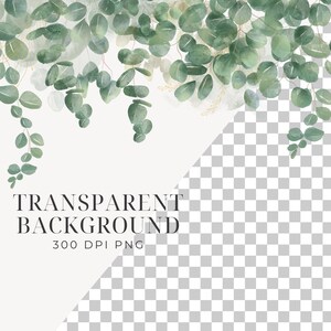 Eucalyptus Greenery Border Watercolor PNG Clipart Commercial Use ...