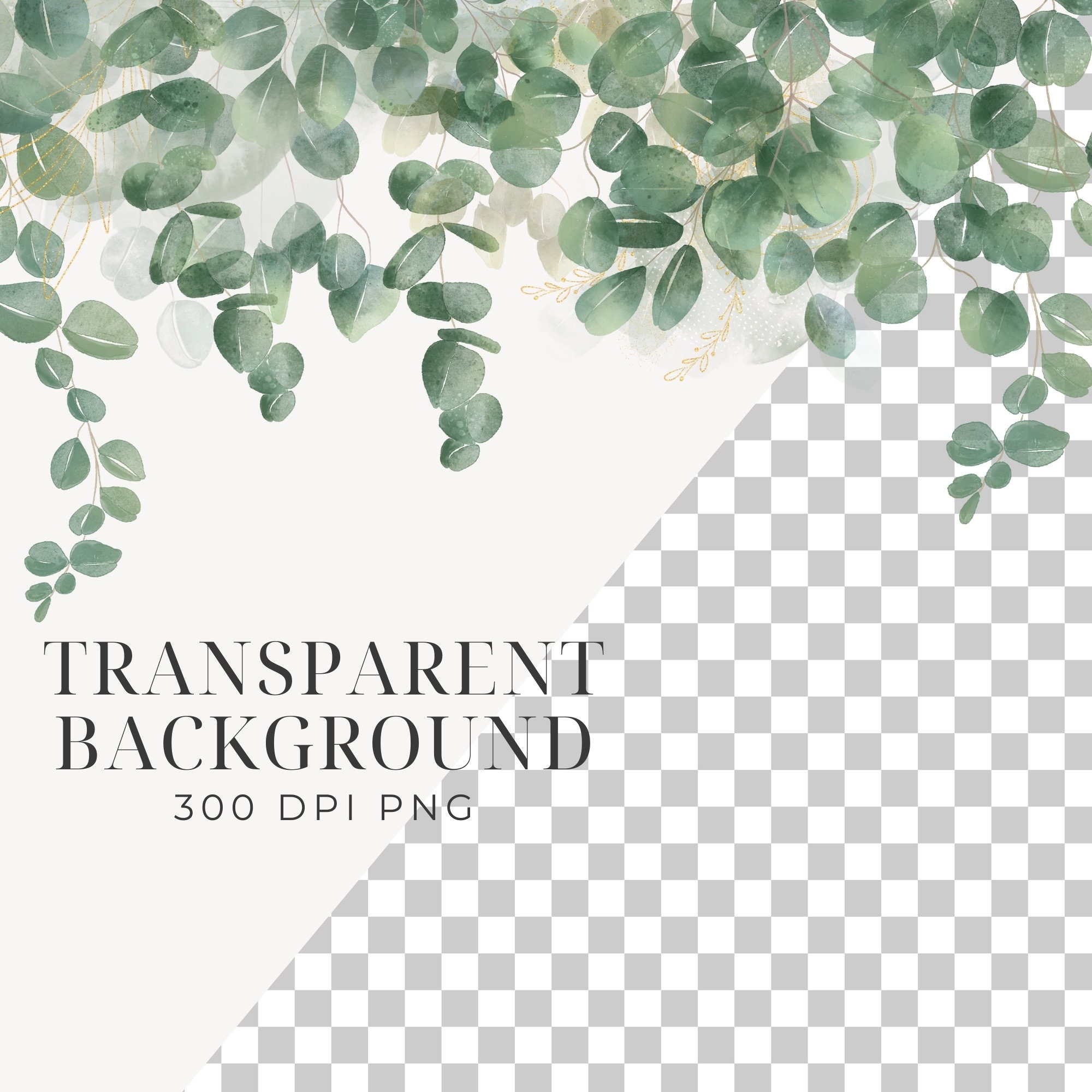 Eucalyptus Greenery Border Watercolor PNG Clipart Commercial Use ...