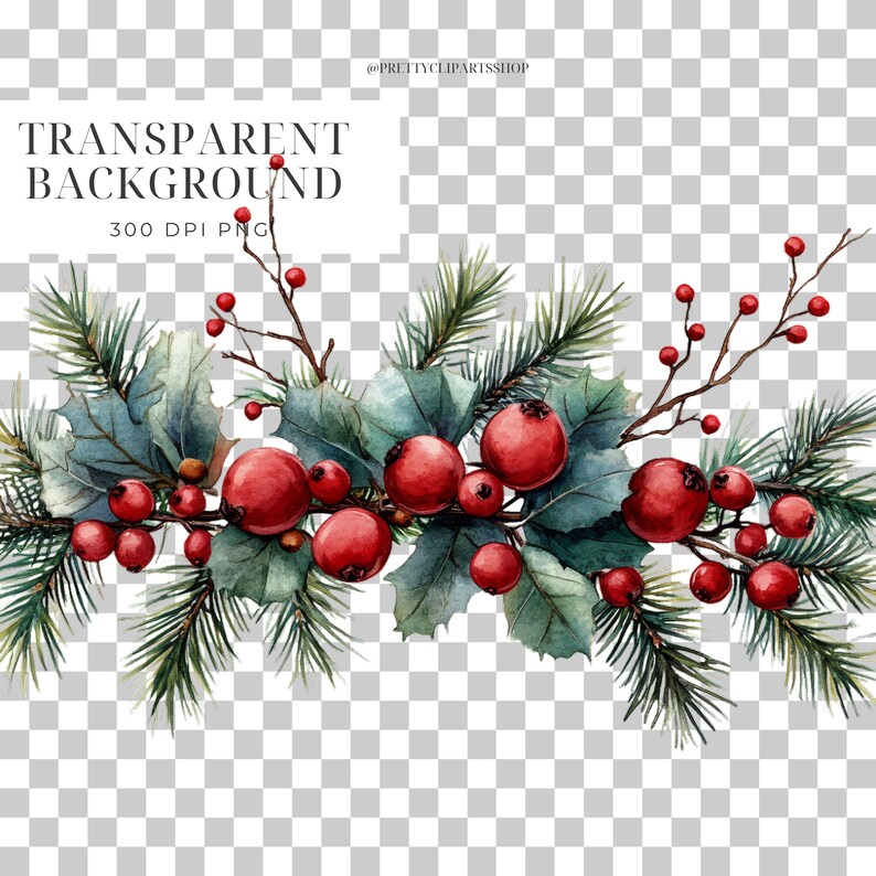 Watercolor Christmas Greenery Clipart: Holiday Foliage PNG (digital ...