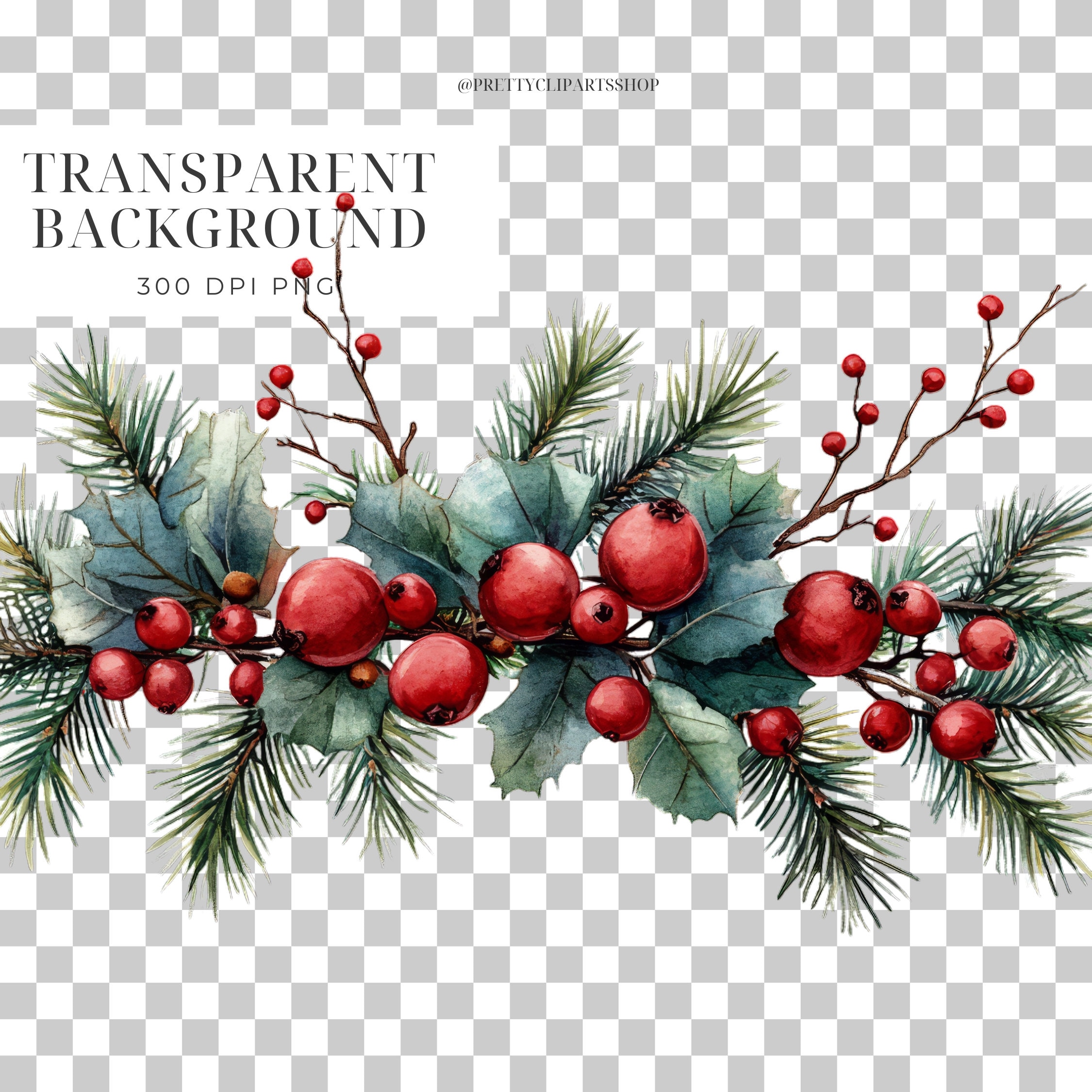 Watercolor Christmas Greenery Clipart: Holiday Foliage PNG (digital ...