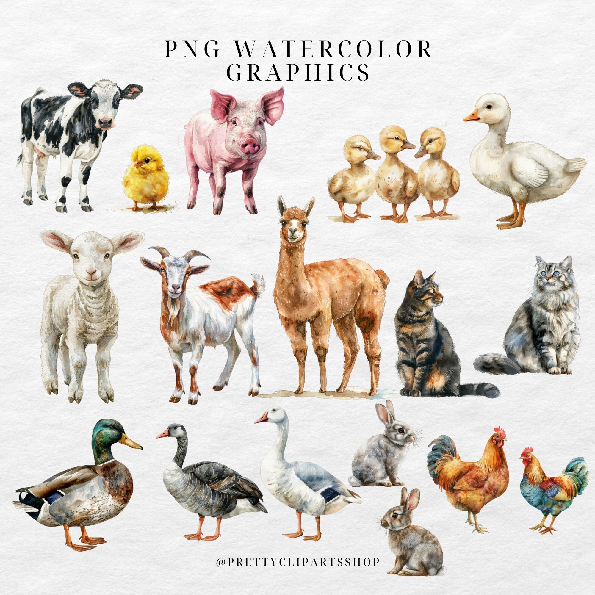 Watercolor Farm Animals, Barnyard Clipart, PNG Clipart, Commercial Use ...