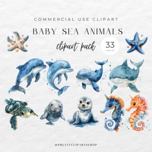 Baby Sea Animals Nursery PNG Cliparts, Watercolor Clipart, Commercial ...