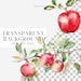 Watercolor Red Apple Clipart for Commercial Use, Transparent PNG ...