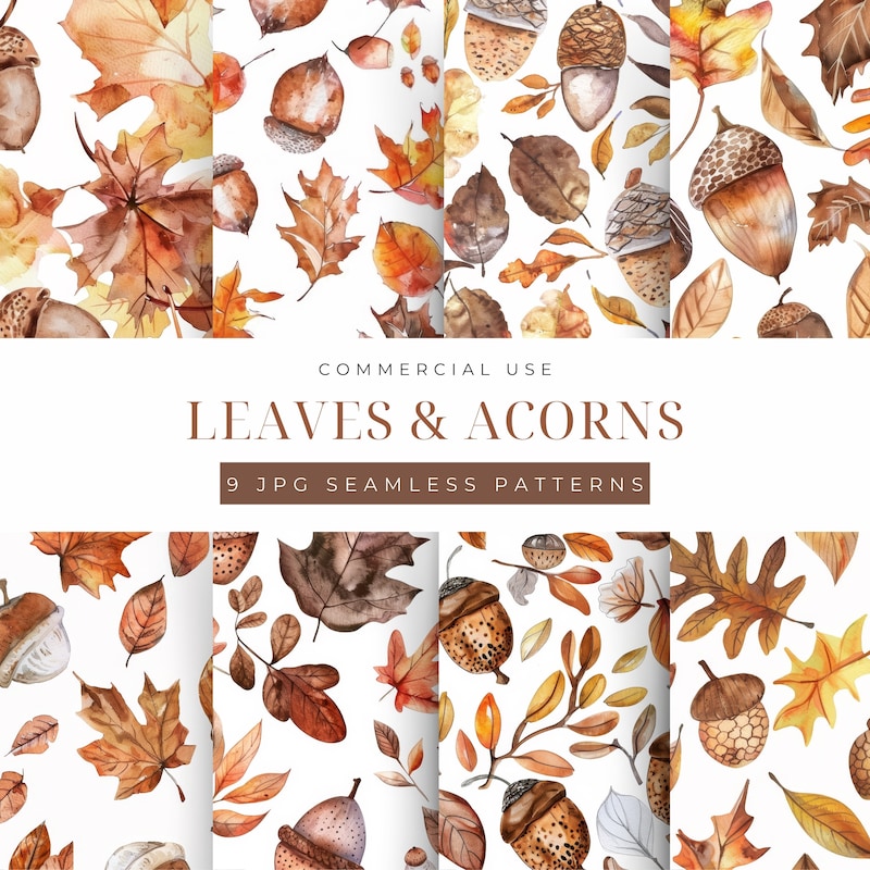 Acorn Drawing - Etsy