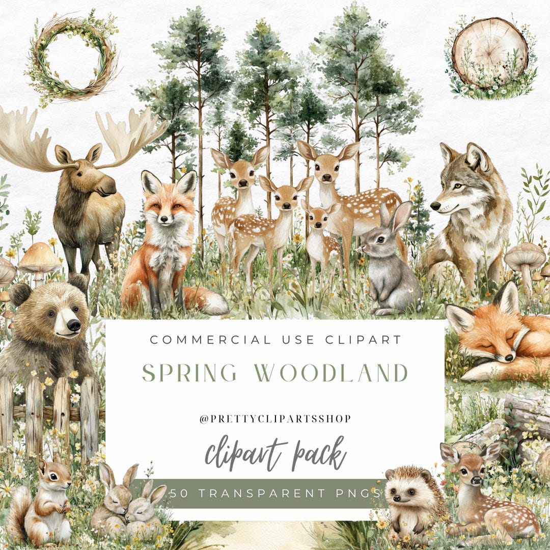 Watercolor Woodland Animals Clipart: Spring Forest PNG (digital ...