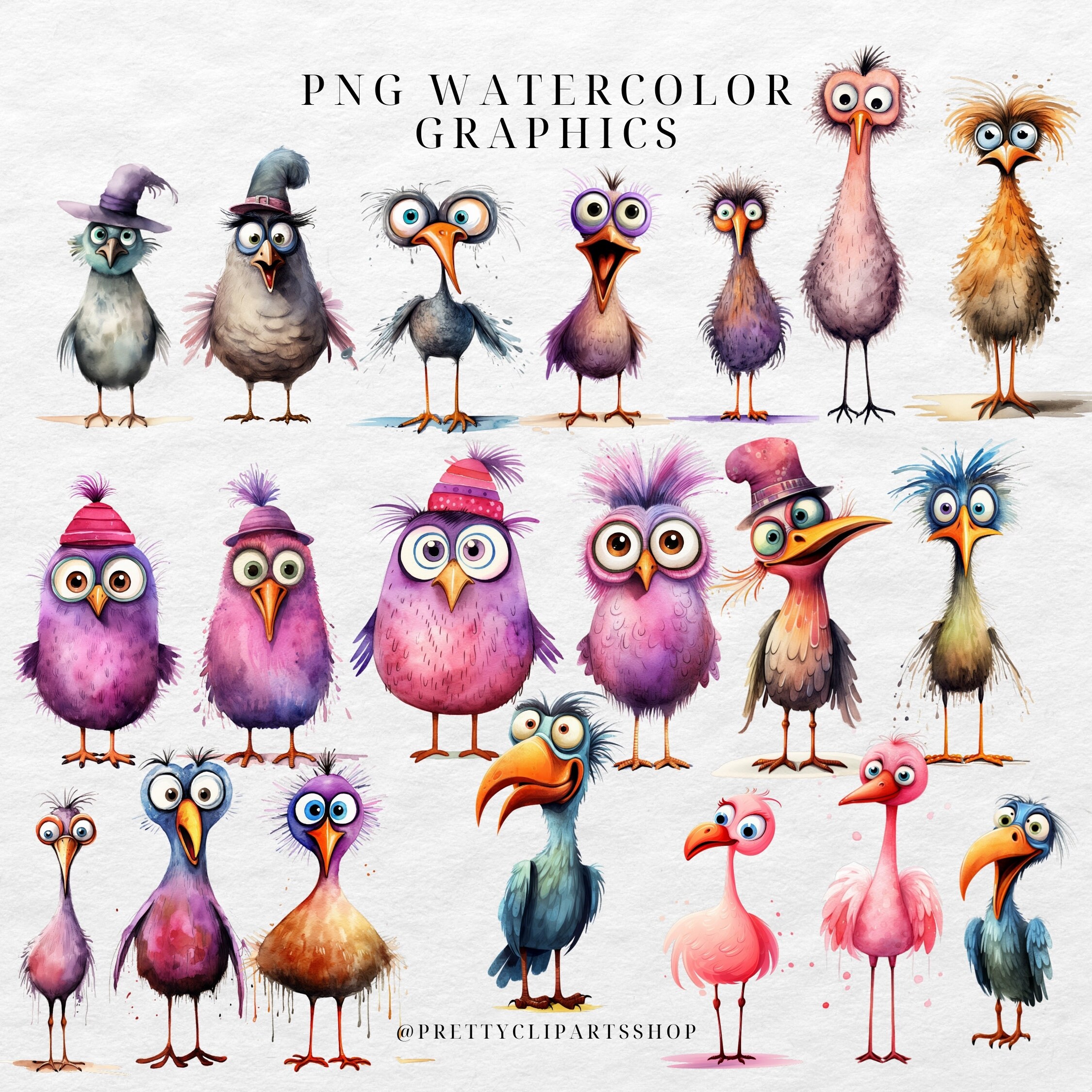 Funny Bird Clipart Bundle Funny Bird PNG Quirky Bird Illustration ...
