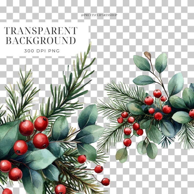 Watercolor Christmas Greenery Clipart: Holiday Foliage PNG (digital ...
