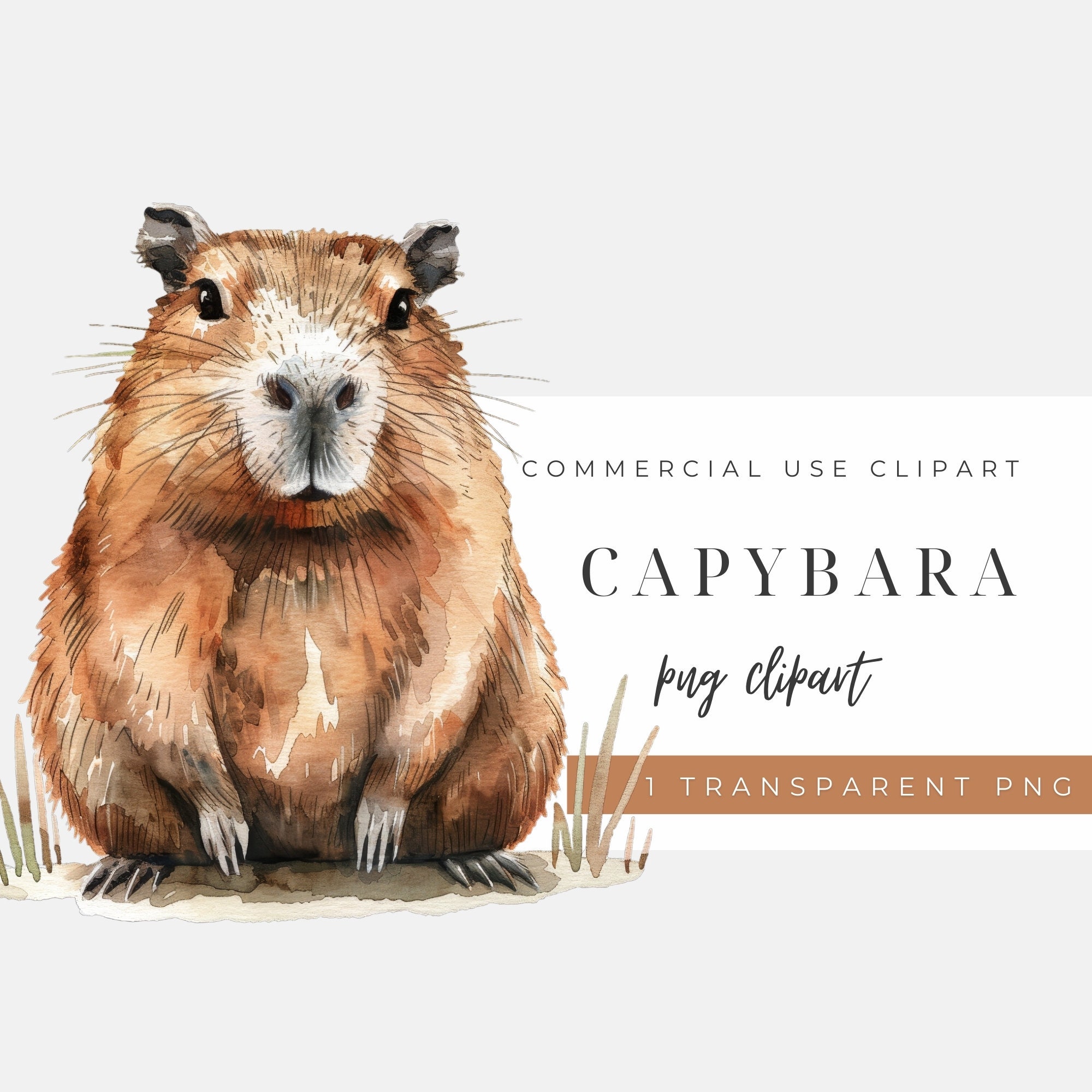Adorable Capybara Watercolor Clipart for Commercial Use, Cute Baby ...