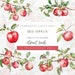 Watercolor Red Apple Clipart for Commercial Use, Transparent PNG ...