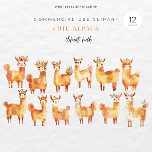 Boho Cute Llama Alpaca PNG Clipart Bundle, Watercolor Clipart, Cute ...