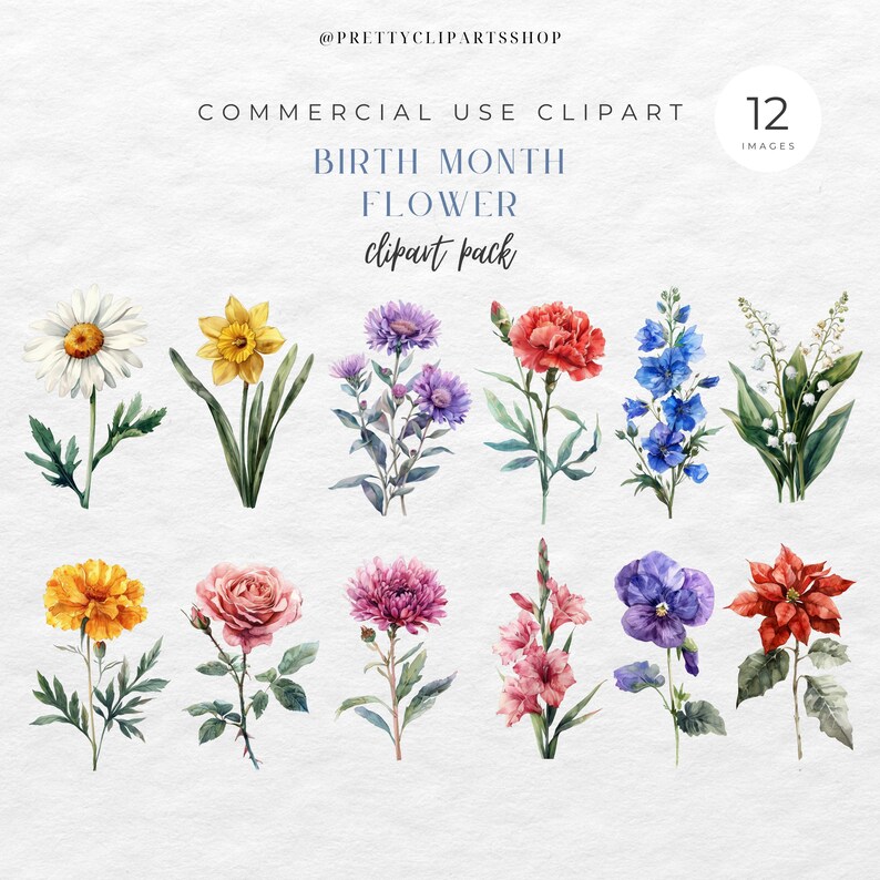 36 Birth Month Flower Clipart, Birth Flower PNG, Botanical Clipart ...