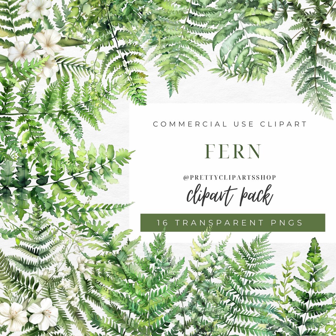 Fern Watercolor Cliparts for Commercial Use, Green Foliage Cliparts ...