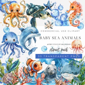 Baby Sea Animals Nursery PNG Cliparts, Watercolor Clipart, Commercial ...