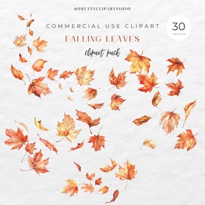 Watercolor Falling Leaves PNG Clipart Bundle, Fall Leave Border Frames ...