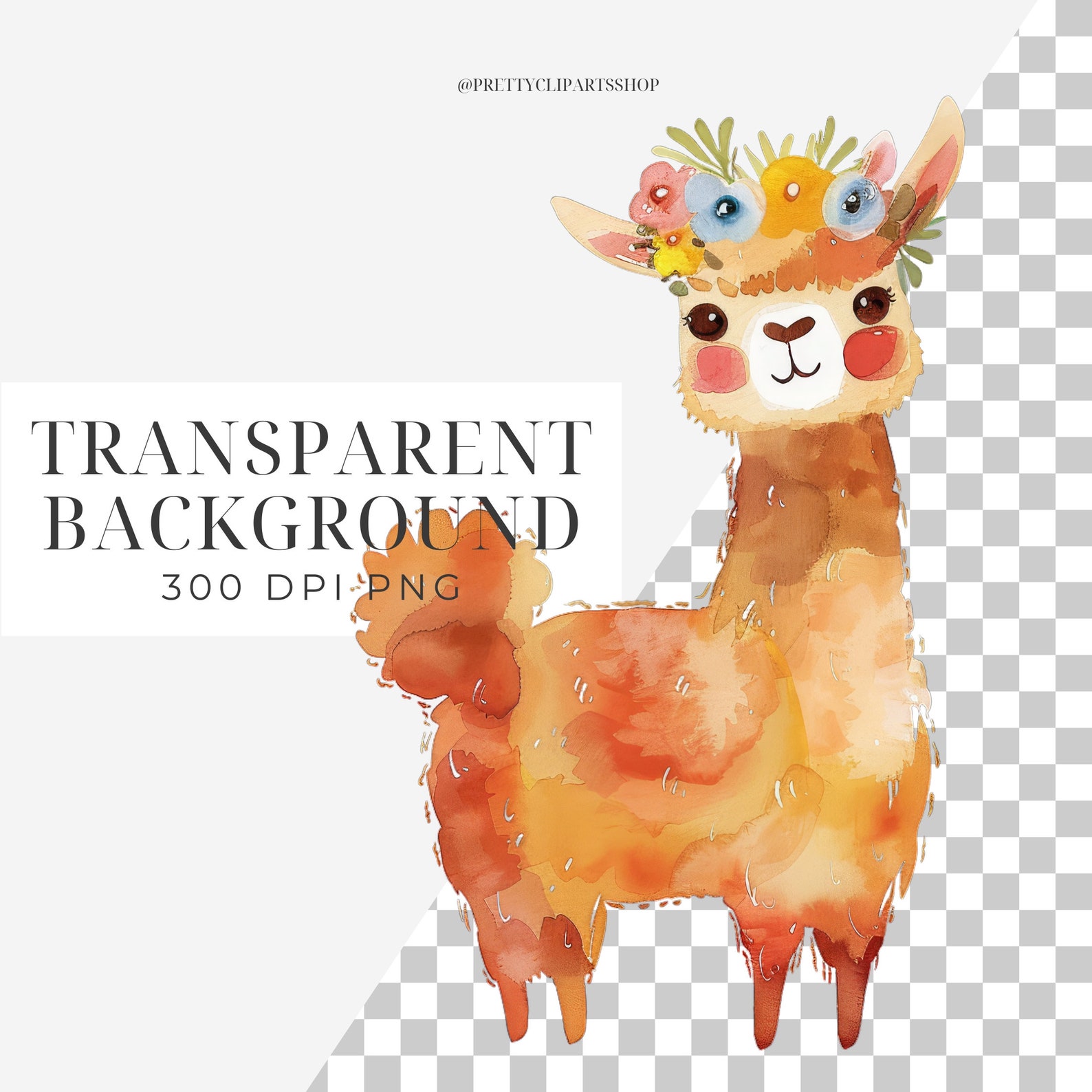 Boho Cute Llama Alpaca PNG Clipart Bundle, Watercolor Clipart, Cute ...