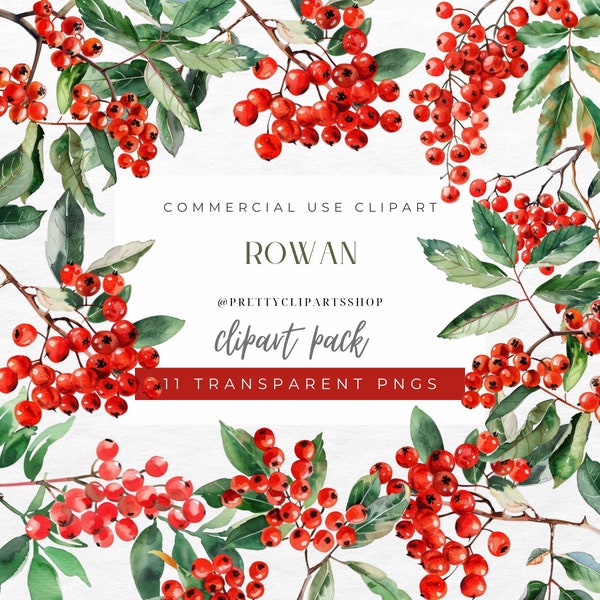 Watercolor Mama and Baby Animal Clipart, Baby Animals, Cute Animal PNG ...