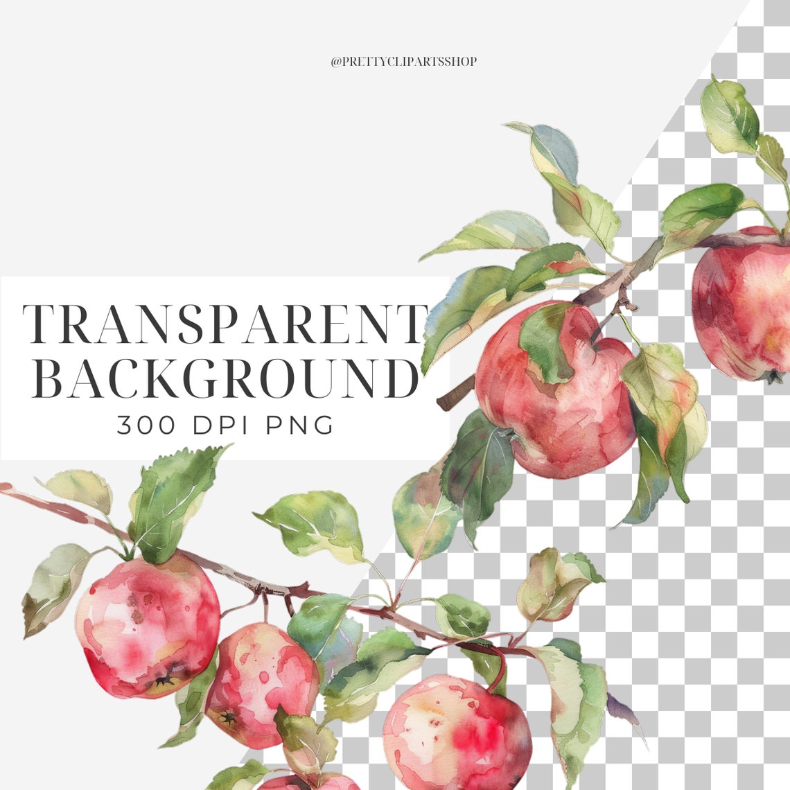 Watercolor Red Apple Clipart for Commercial Use, Transparent PNG ...