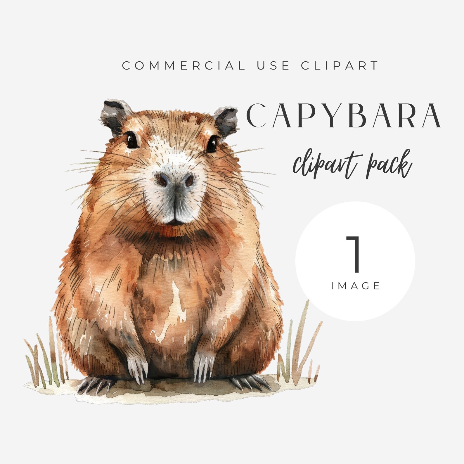 Adorable Capybara Watercolor Clipart for Commercial Use, Cute Baby ...