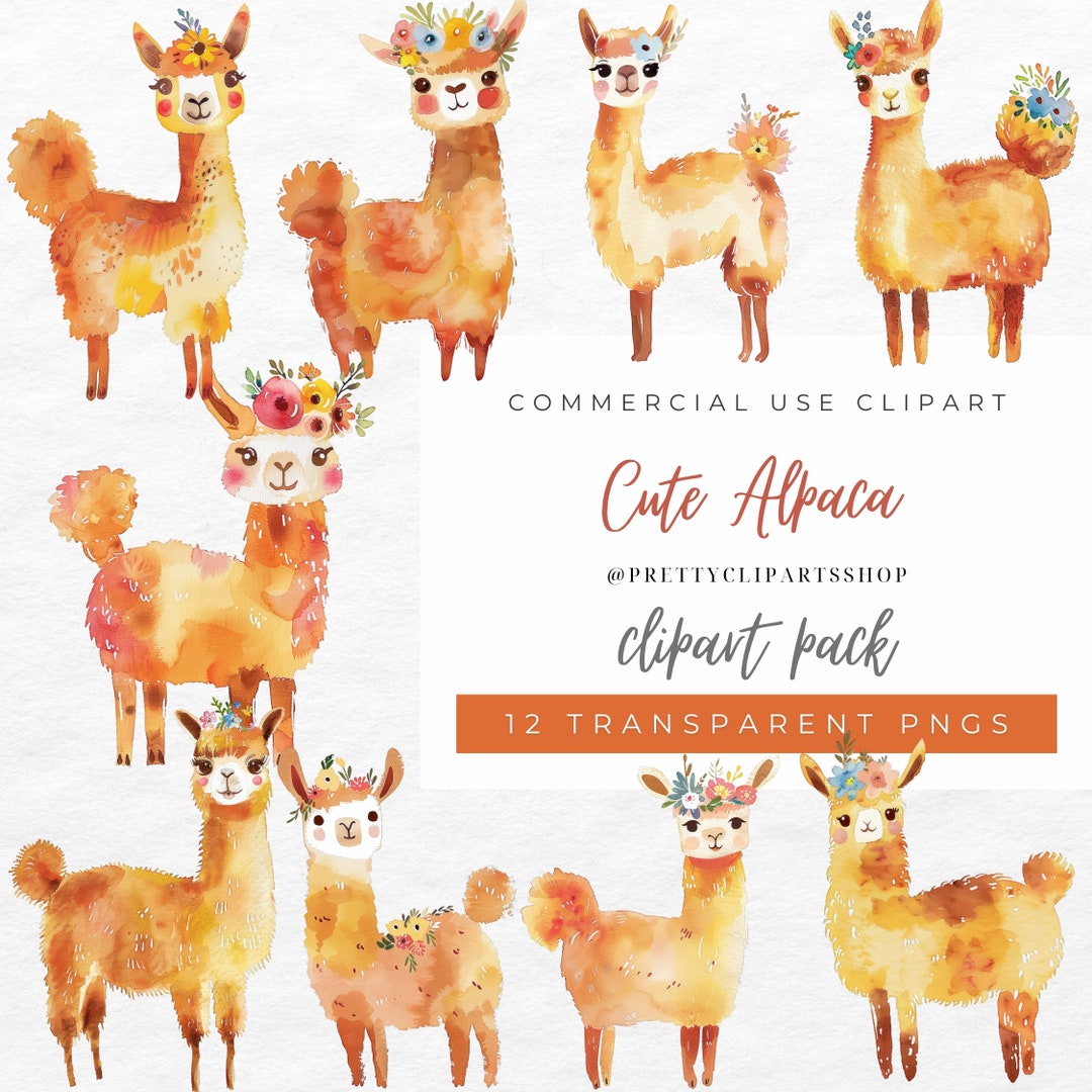 Boho Cute Llama Alpaca PNG Clipart Bundle, Watercolor Clipart, Cute ...