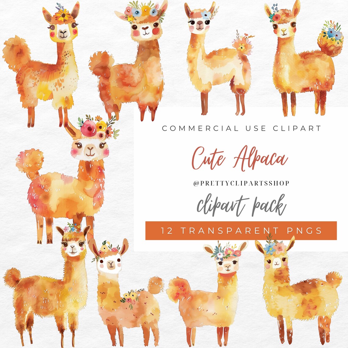 Boho Cute Llama Alpaca PNG Clipart Bundle, Watercolor Clipart, Cute ...