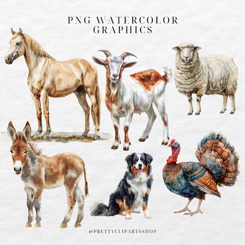 Watercolor Farm Animals, Barnyard Clipart, PNG Clipart, Commercial Use ...