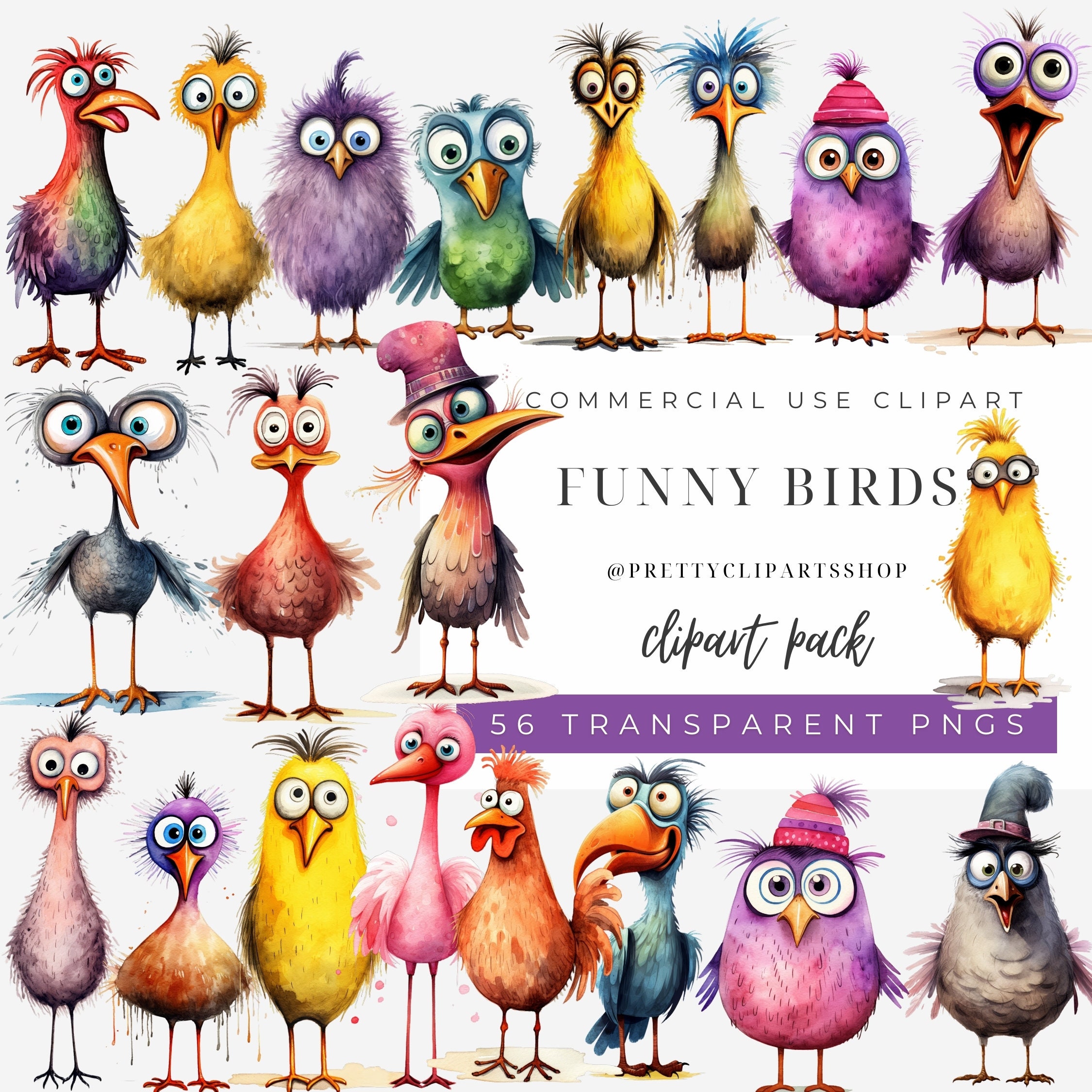 Funny Bird Clipart Bundle Funny Bird PNG Quirky Bird Illustration ...