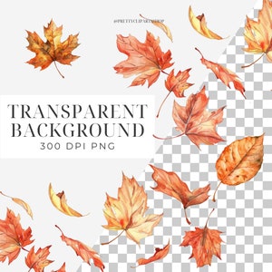 Watercolor Falling Leaves PNG Clipart Bundle, Fall Leave Border Frames ...