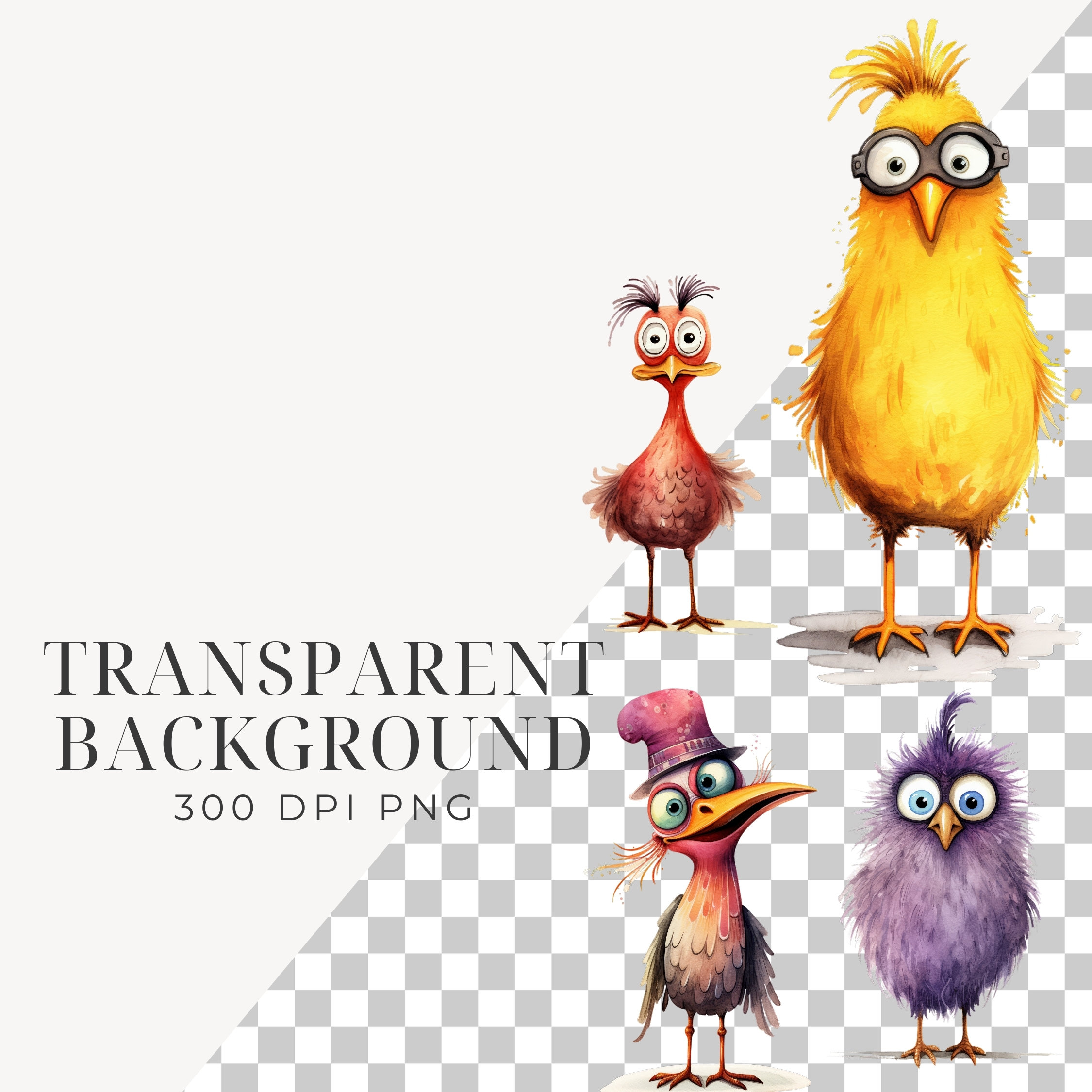 Funny Bird Clipart Bundle Funny Bird PNG Quirky Bird Illustration ...