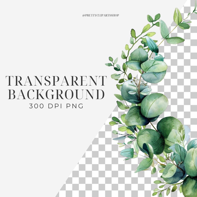 Watercolor Eucalyptus Wreath Clipart for Commercial Use, PNG Clipart ...