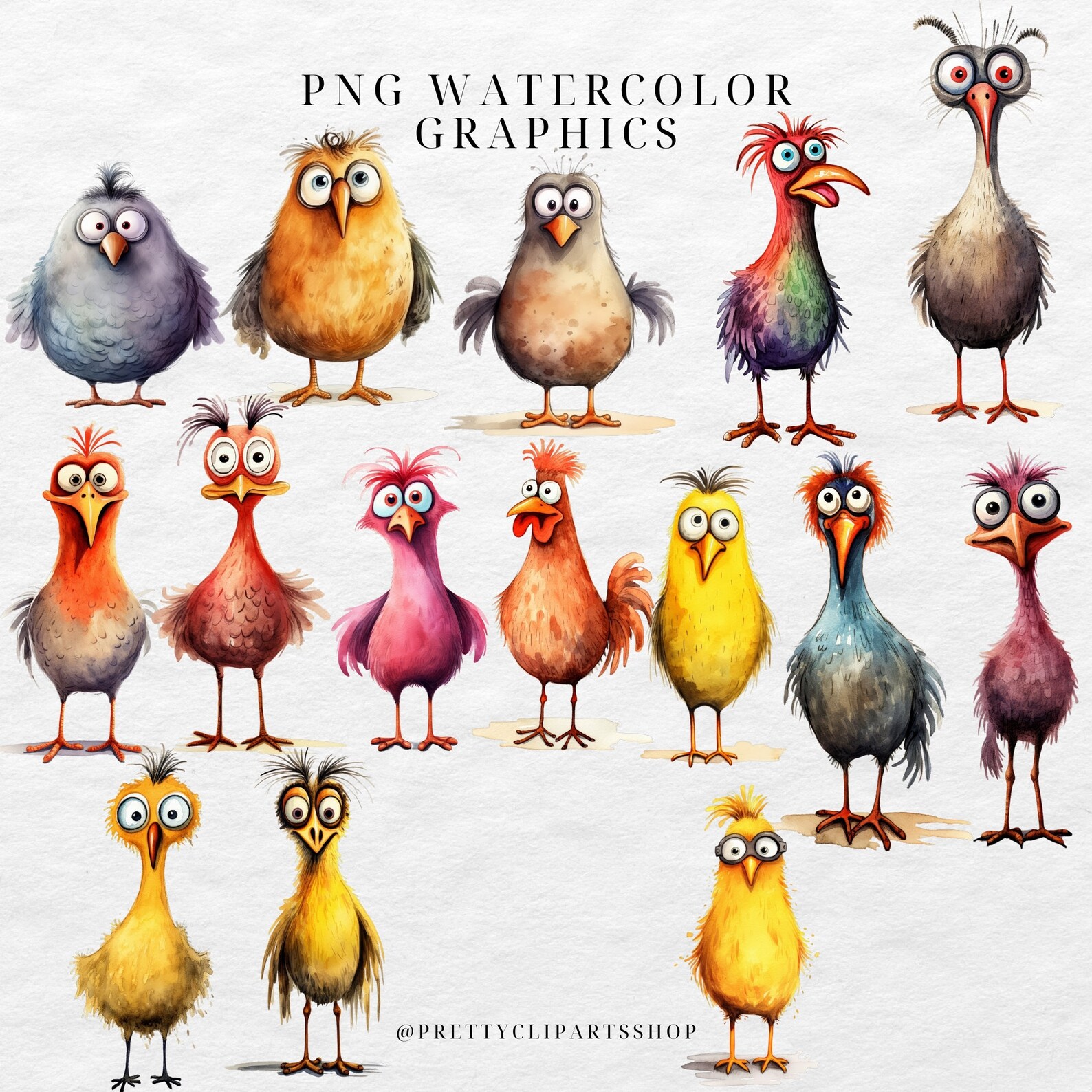 Funny Bird Clipart Bundle Funny Bird PNG Quirky Bird Illustration ...