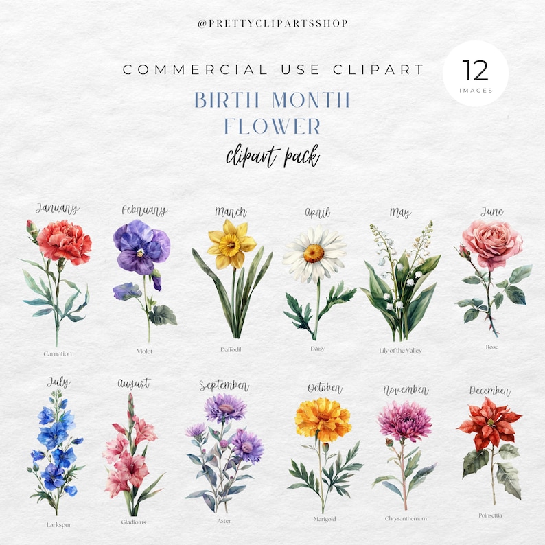 36 Birth Month Flower Clipart, Birth Flower PNG, Botanical Clipart ...
