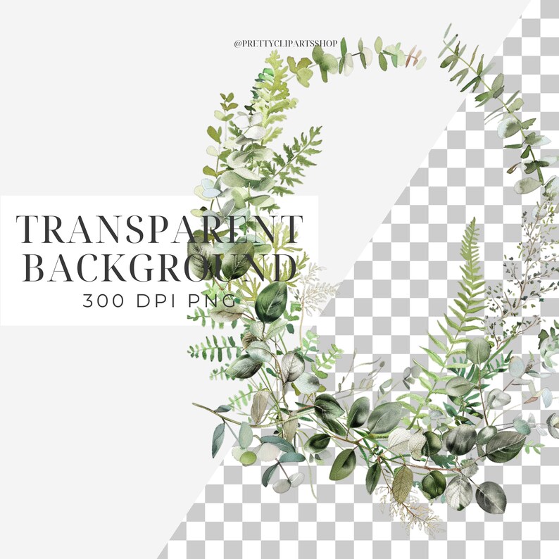 15 Watercolor Botanical Frame and Wreath PNG Cliparts for Commercial ...