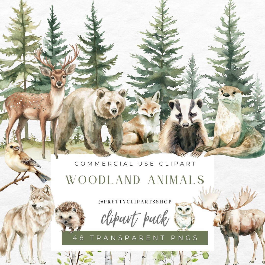 Watercolor Woodland Animals Clipart: Forest Nursery PNG (digital ...