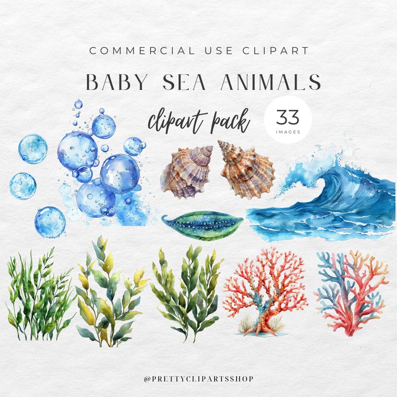 Baby Sea Animals Nursery PNG Cliparts, Watercolor Clipart, Commercial ...
