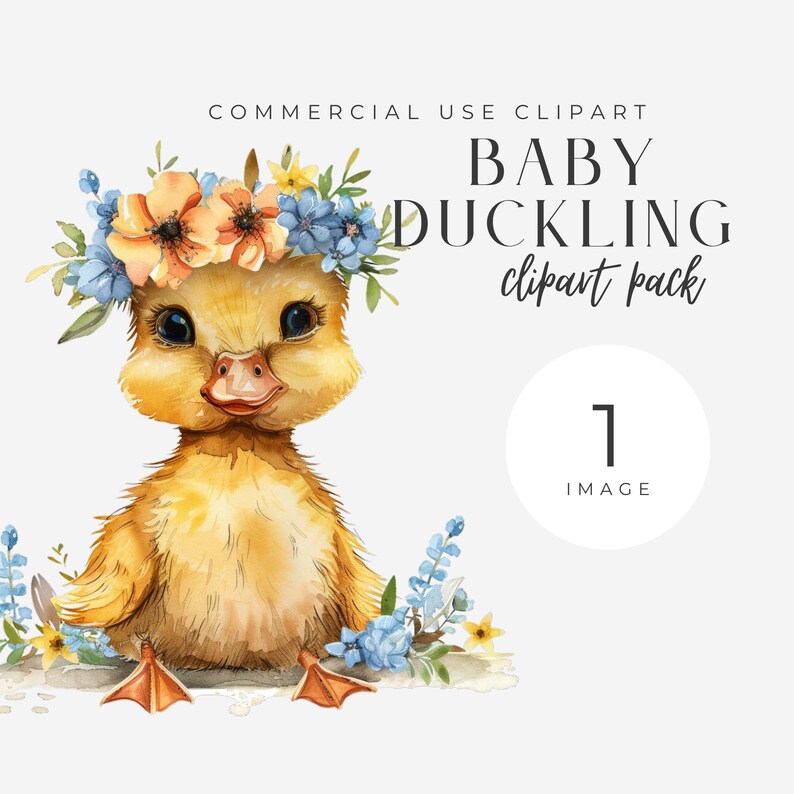 Watercolor Baby Duckling Clipart for Commercial Use Transparent PNG ...