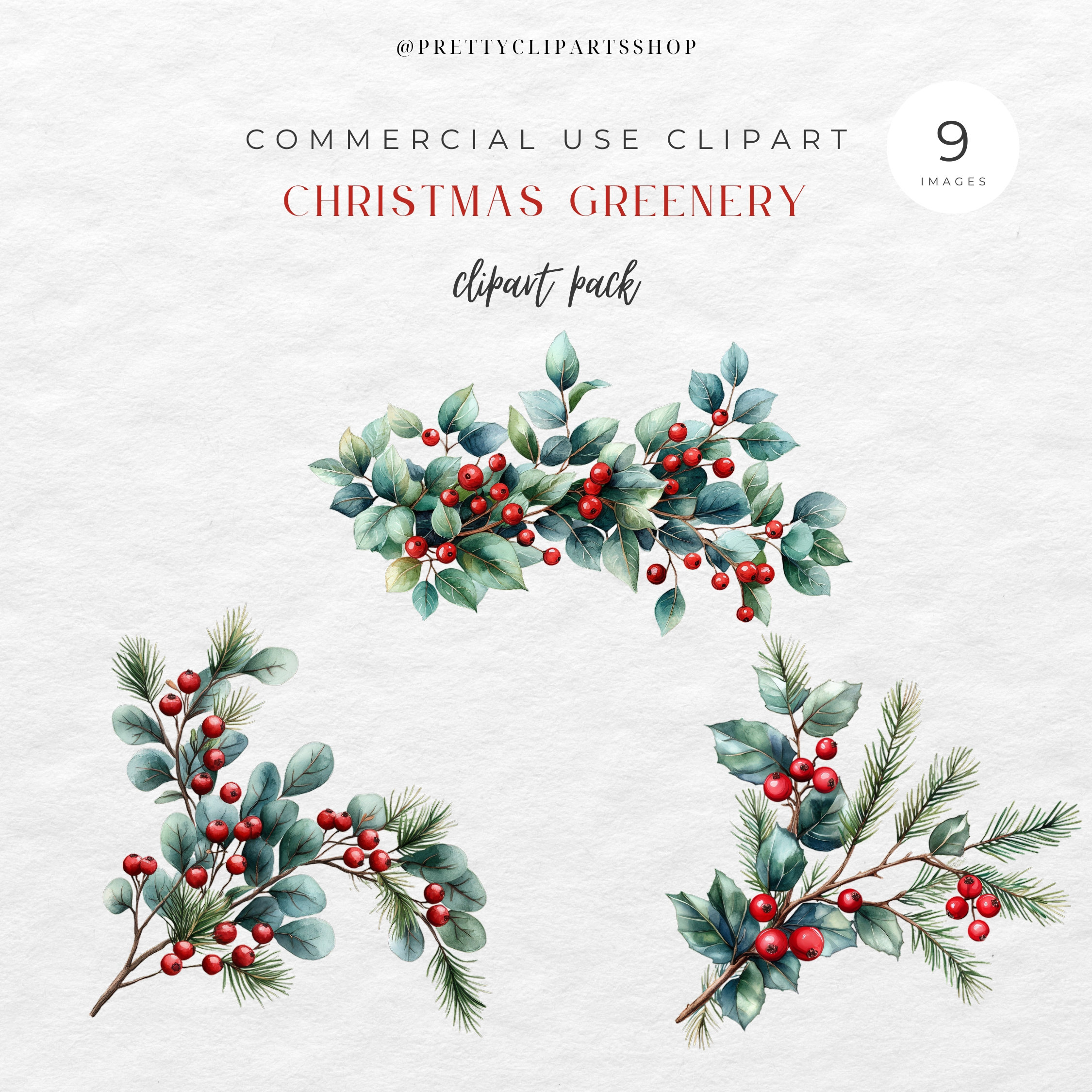 Watercolor Christmas Greenery Clipart: Holiday Foliage PNG (digital ...
