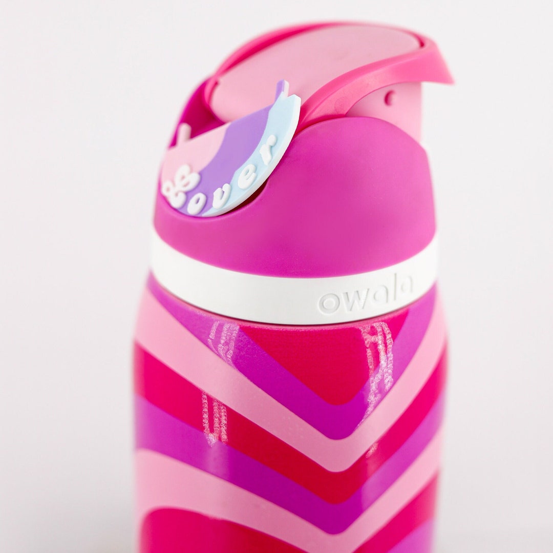 OWALA LOVER Taylor Swift Cloud Pastel Pink Purple and Blue Plate Owala ...