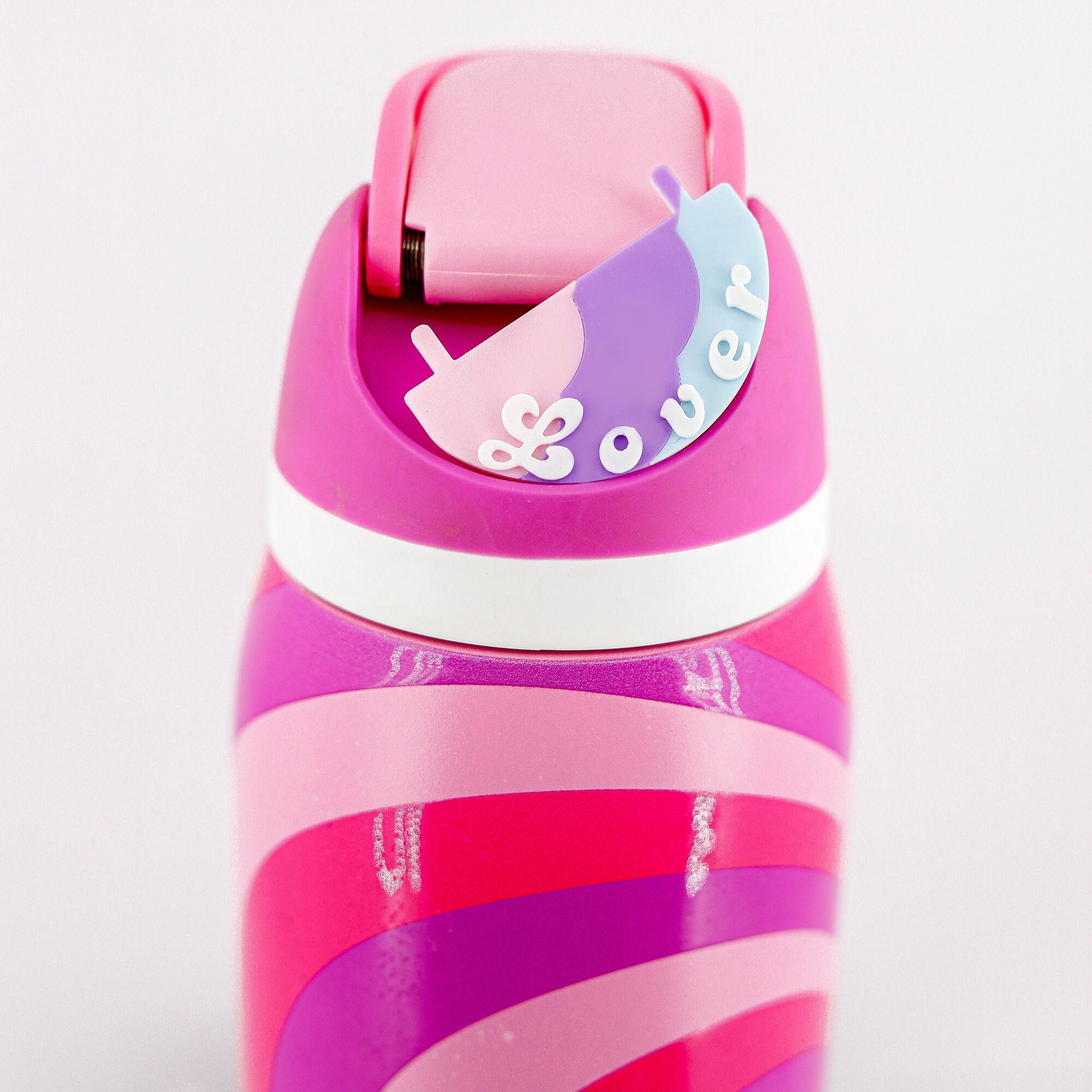 OWALA LOVER Taylor Swift Cloud Pastel Pink Purple and Blue Plate Owala ...