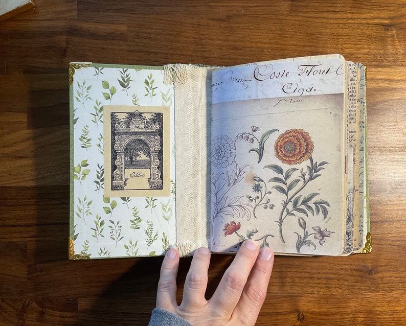 Blank Botany Vintage Inspired Junk Journal With Green Cover - Etsy